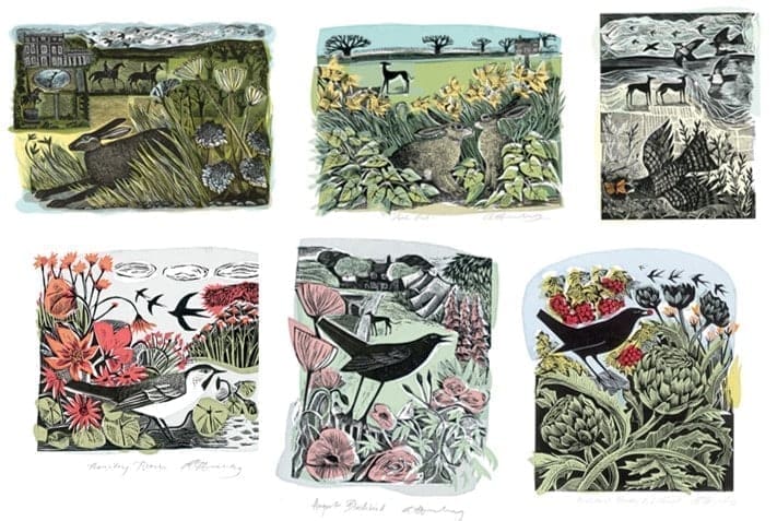 Printmakers – Card Bundle – Angela Harding – Burton at Bideford